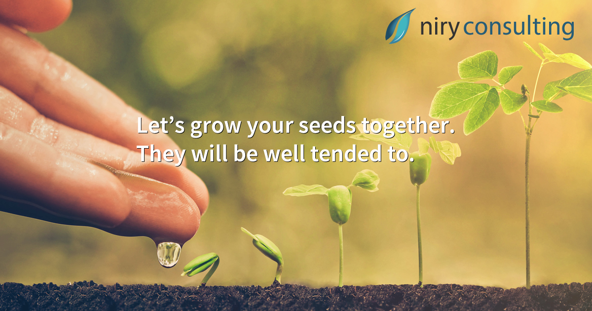 Services - Niry Consulting